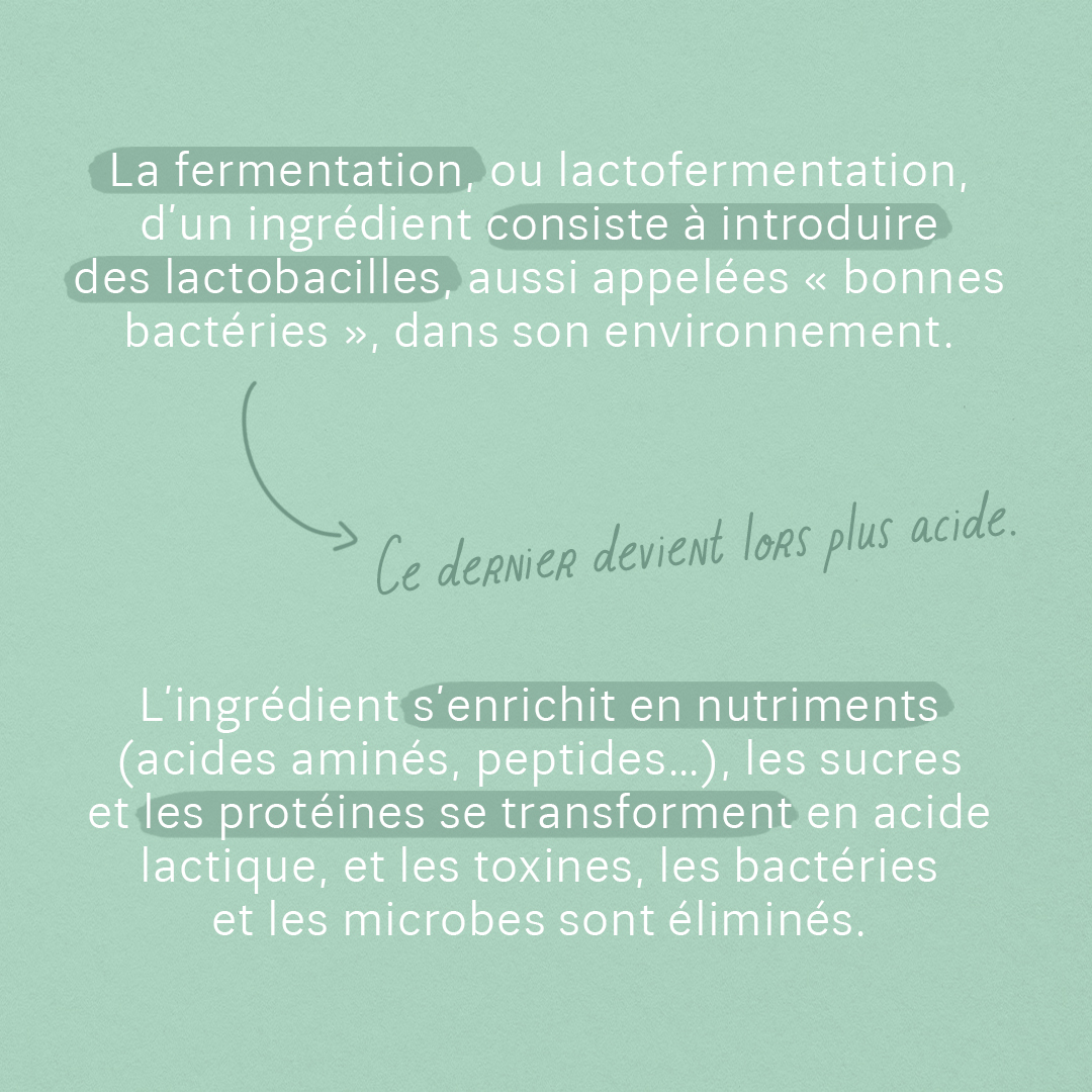 Guide : l’intérêt de la fermentation en cosmétique